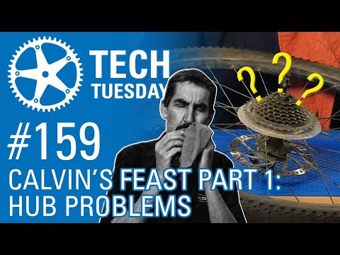 Calvin's Feast Part 1: Hub Problems | Tech Tuesday #159