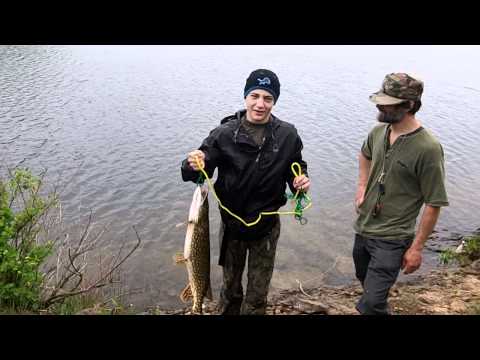Alex's Pike
