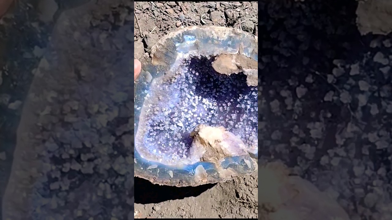 Giant Amethyst! #amethysts #crystals #quartz #minerals #agates #geodes #stones #short