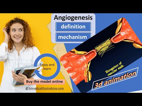 3D file 3D Angiogenesis NEW BLOOD VESSEL FORMATION 🆕・3D printing design ...