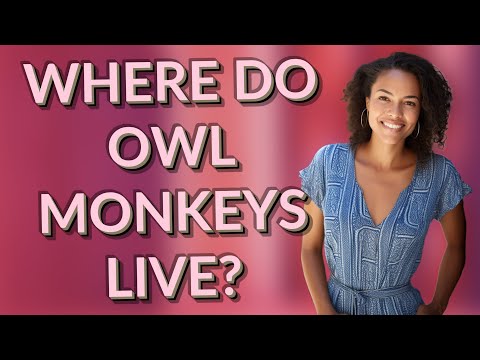 Where do owl monkeys live?