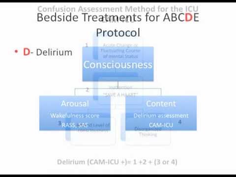 Care of the Ventilated Patient- The New Paradigm