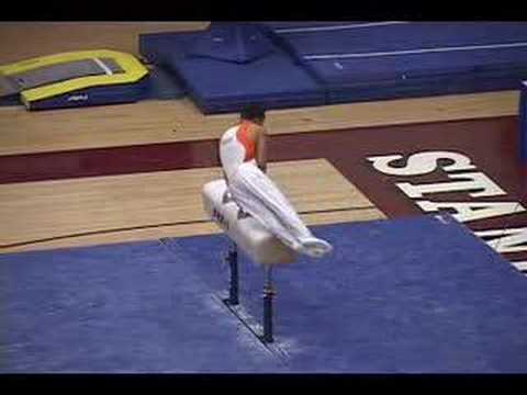 Daniel Ribeiro – Pommel Horse – Gymnastics Coaching.com
