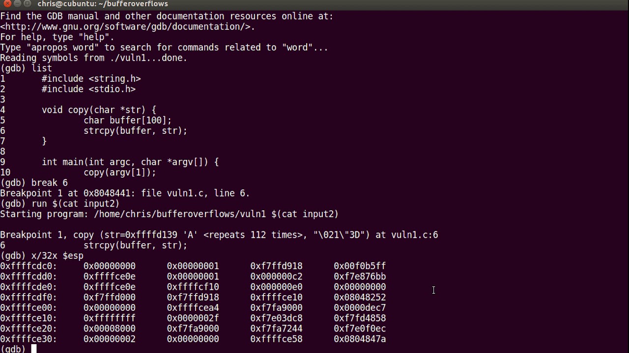 buffer overflow demo #1 application crash / segmentation fault
