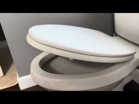 Best Kohler Toilet Seat? Kohler Ready Latch Toilet Seat Vs Kohler Stonewood Toilet Seat