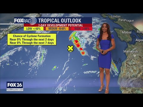 Tropical Weather Forecast - November 25, 2023