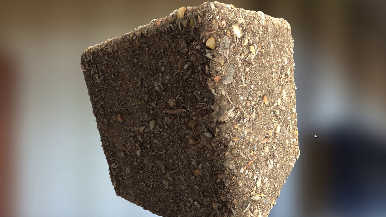 Showcase Forest Ground Texture