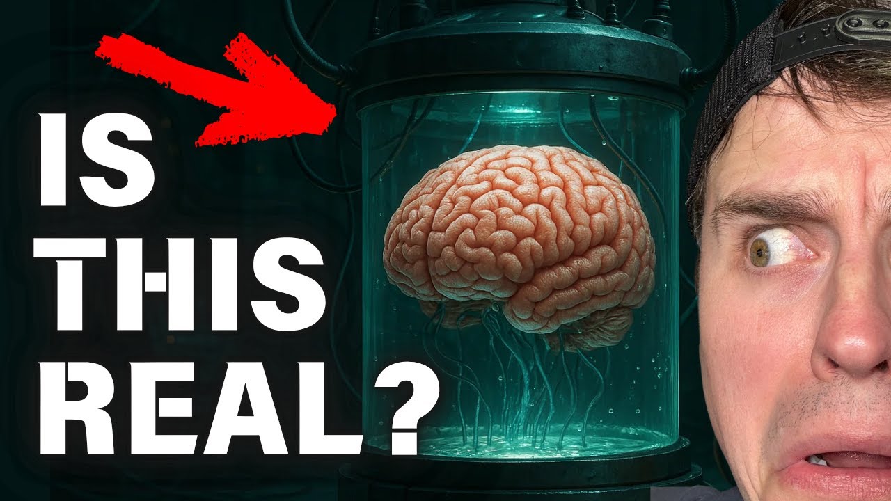 Startup Using Human Brain Cells to Build A.I. (The FinalSpark Project)