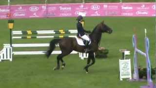 Elvis Ter Putte: stallion, 2 exclusive videos, Pedigree, Ratings - rimondo