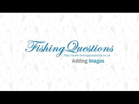 Uploading Images using ImageShack | FishingQuestions