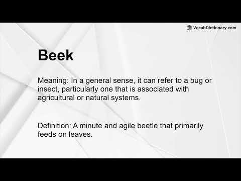 Beek Meaning