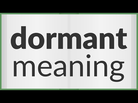 Dormant | meaning of Dormant