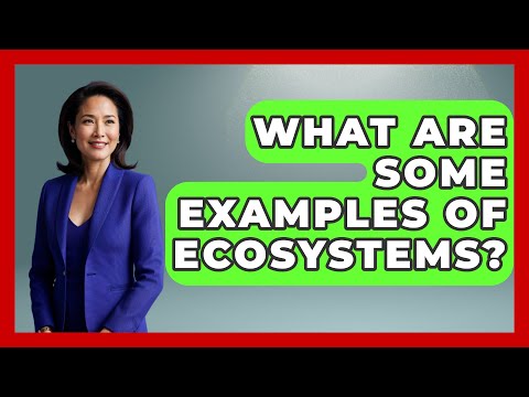 What Are Some Examples of Ecosystems? - Ecosystem Essentials