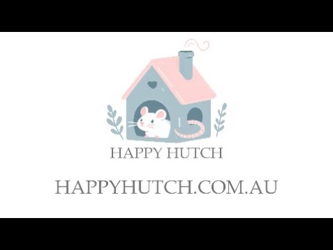 👷 COMMERCIAL - Burrow Builder Tunnels: Premium Modular Rat and Small ...