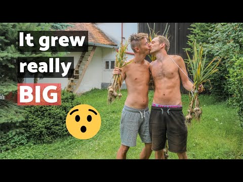 SAUSAGES AND STONES | Visit of Tommy's Mom | Fresh Fruits And Veggies From Our Natural Garden