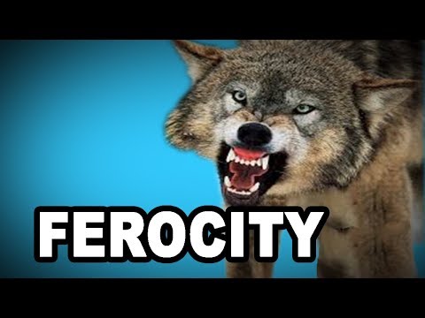 Learn English Words: FEROCITY - Meaning, Vocabulary with Pictures and Examples