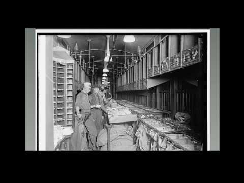Kindergarten Historians: Primary Sources & Early Grades Learners