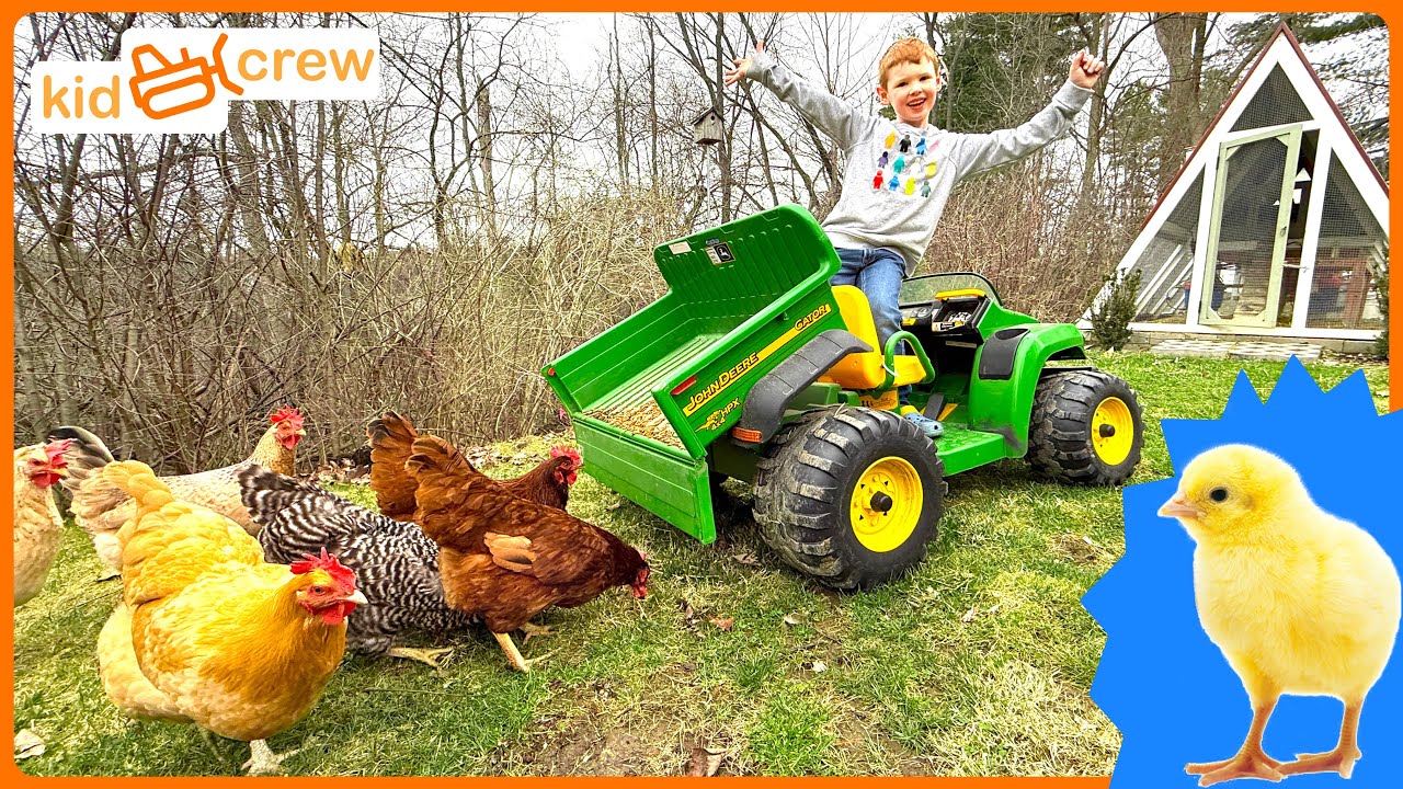 Raising baby chicks for eggs with kids ride on John Deere Gator farm truck. Educational | Kid Crew