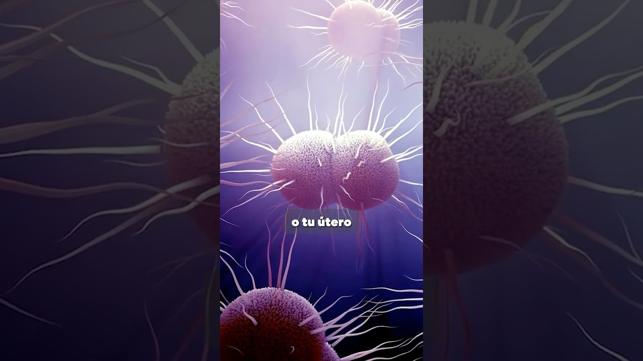 Gonorrea para todos