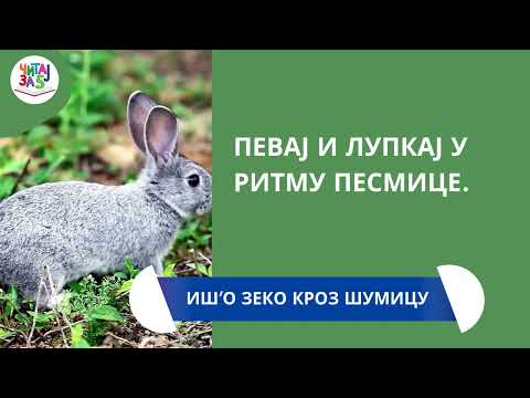 BROJALICA: IŠ’O ZEKO KROZ ŠUMICU – Čitaj za 5