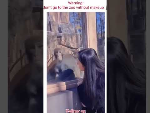 monkey shocked face funny video #funny #comedy#shorts #monkey