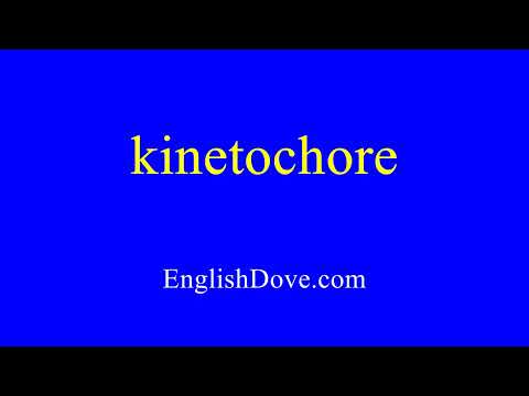 How to pronounce kinetochore in American English