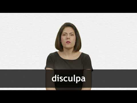 English Translation of “DISCULPA” | Collins Spanish-English Dictionary