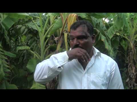 Watch Kannada Trailer Of My Autograph