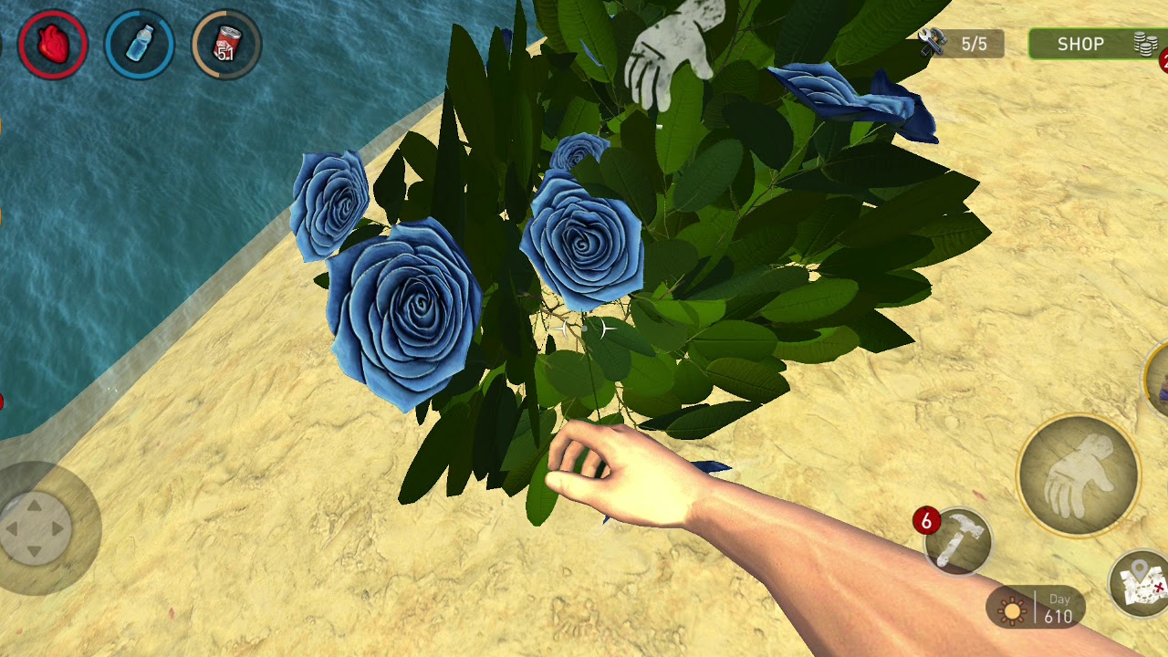 Ocean nomad ep. 7 - I'm back, small update.