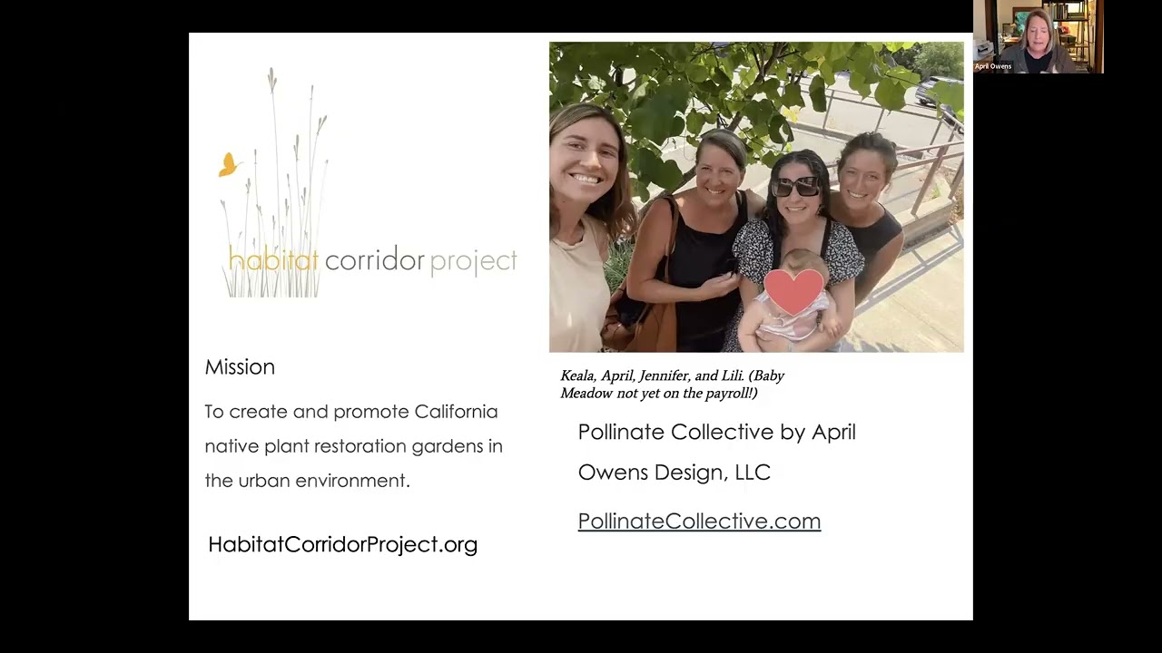 Native Plant Gardening 101: Habitat by Design