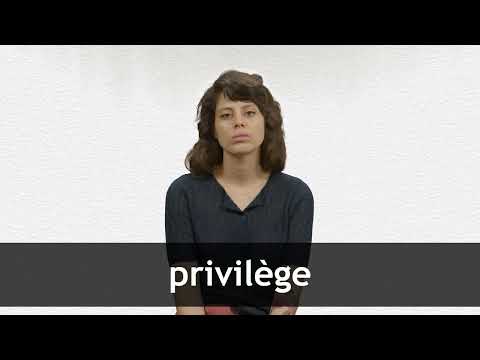 English Translation of “PRIVILÈGE” | Collins French-English Dictionary