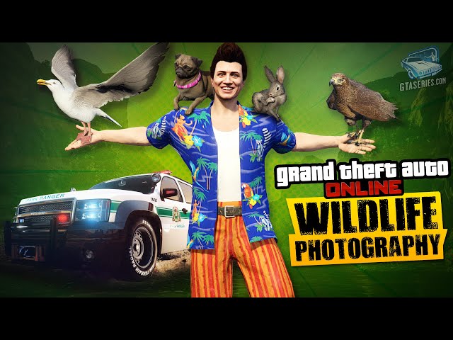 GTA 5 Online Crow location: Shoot Animals Photography Challenge