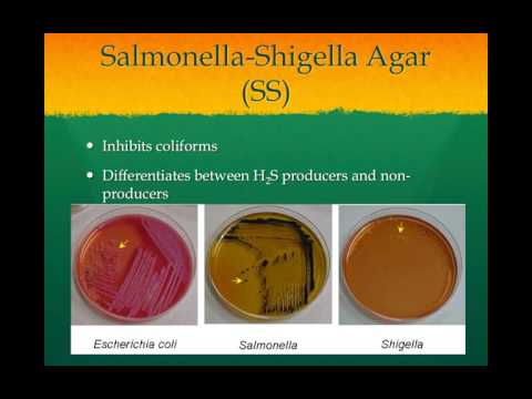 Biochemical tests