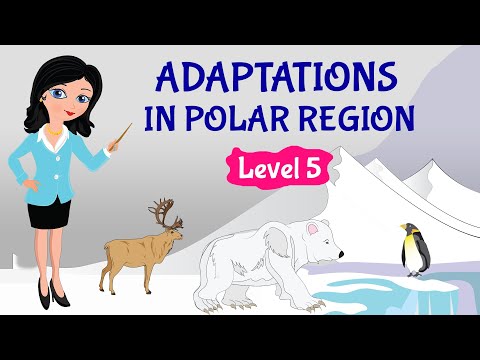 Polar Regions For Kids | Science | Grade 4 & 5 | TutWay