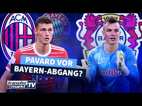 Pavard liebäugelt mit Bayern-Abgang – Leverkusen an Torwart Köhn interessiert | TRANSFERMARKT