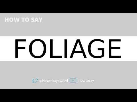 How to Say "Foliage"