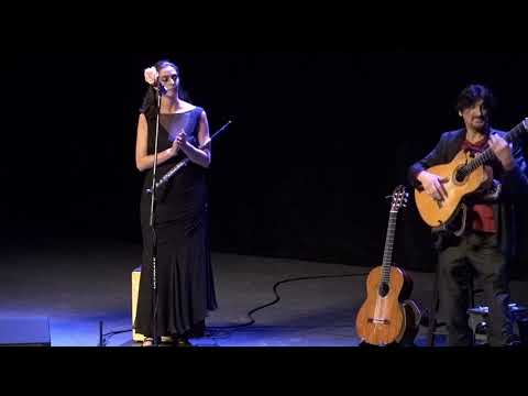 EPK: Eduardo and the Paco Band-Nuevo Flamenco, Latin – Ed Stephenson