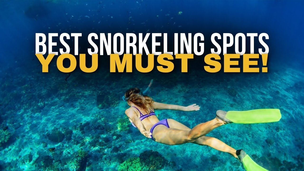 🌊 Top 10 Snorkeling Spots in the World 🐠 | Breathtaking Underwater Destinations You Must See!