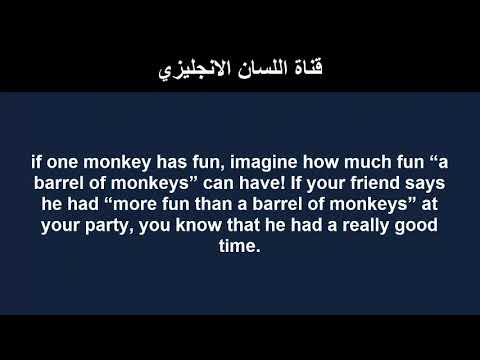 Words and Their Stories English Idioms monkeyshines Monkey business Monkey suits
