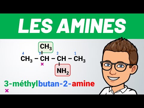 Nomenclature of AMINES ✅ Organic Chemistry
