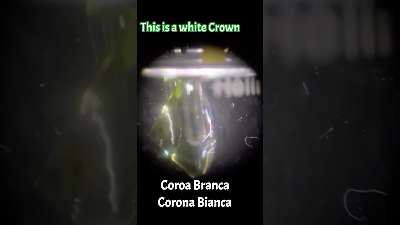 $2000 Spinel Scam? Water Reveals All. #gemology Secrets