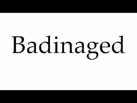 How to Pronounce Badinaged