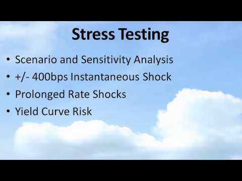 Bank Training Program: Stress Testing