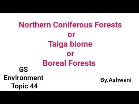 Northern coniferous forests /Taiga / Boreal forests.