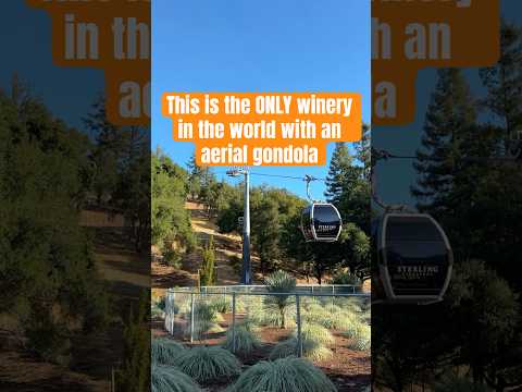 Ride a Gondola to a Napa Valley Winery #shorts
