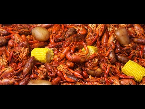 Catch Crawfish Harvest Purge Secret