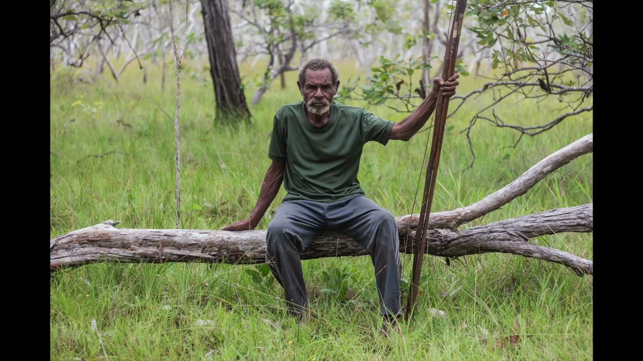 President Prabowo: Protect Papua's Forests