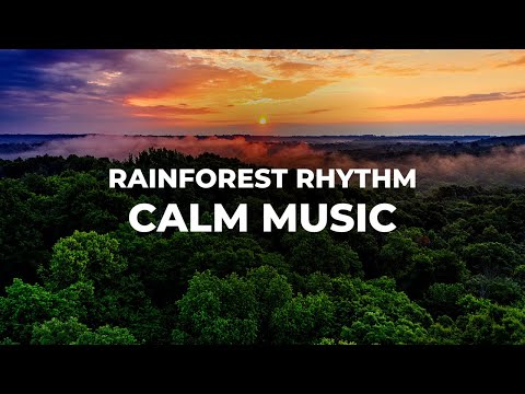 4K The Amazon Rainforest: A Vibrant Tapestry of Sight and Sound