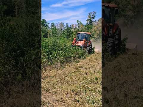 M7060 Brush Hogging #tractor #bushhog