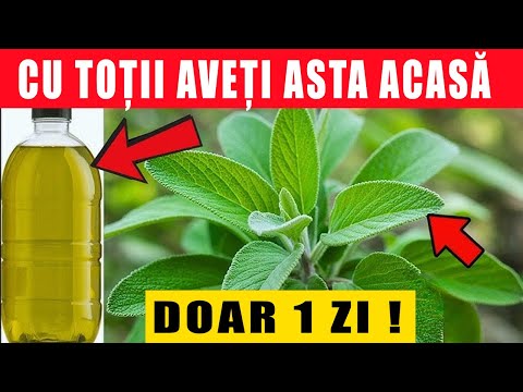 MINUNE! O singură frunză ELIMINĂ diabetul, colesterolul rău și burta grasă!